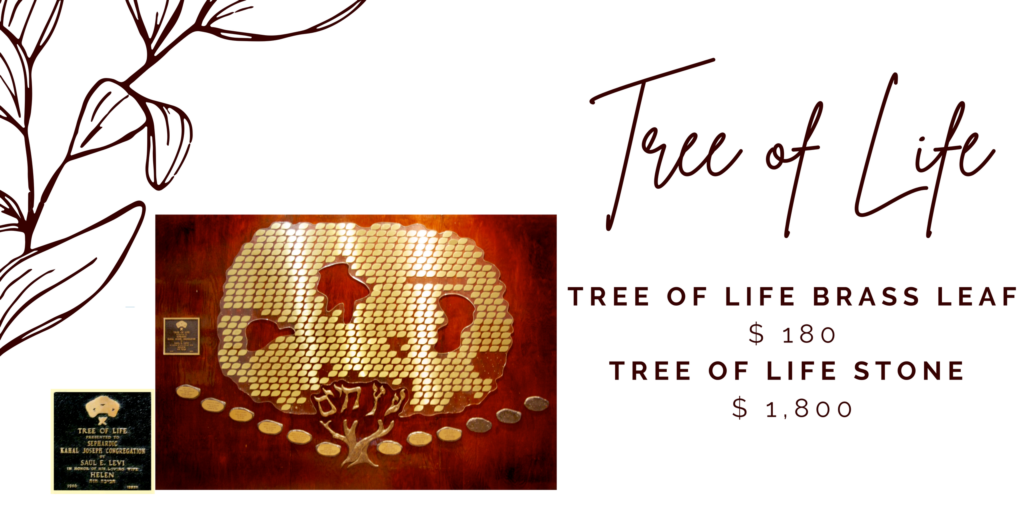 Tree of Life | Kahal Joseph Congregation - LA Modern Orthodox Mizrahi ...